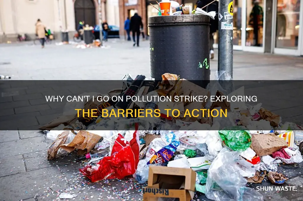 Why Can't I Go On Pollution Strike? Exploring The Barriers To Action ...